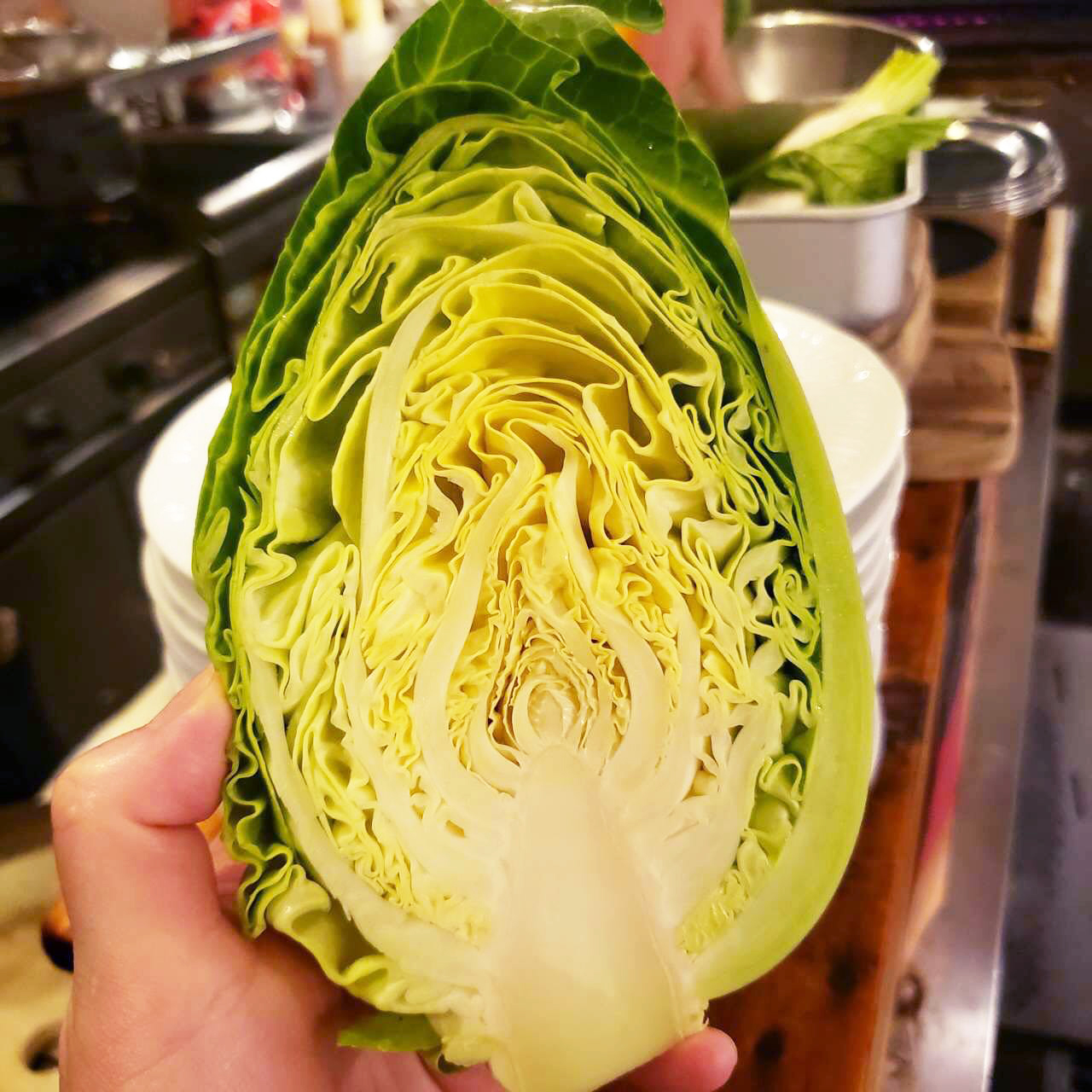 20240611-4-2 – SARUブログ