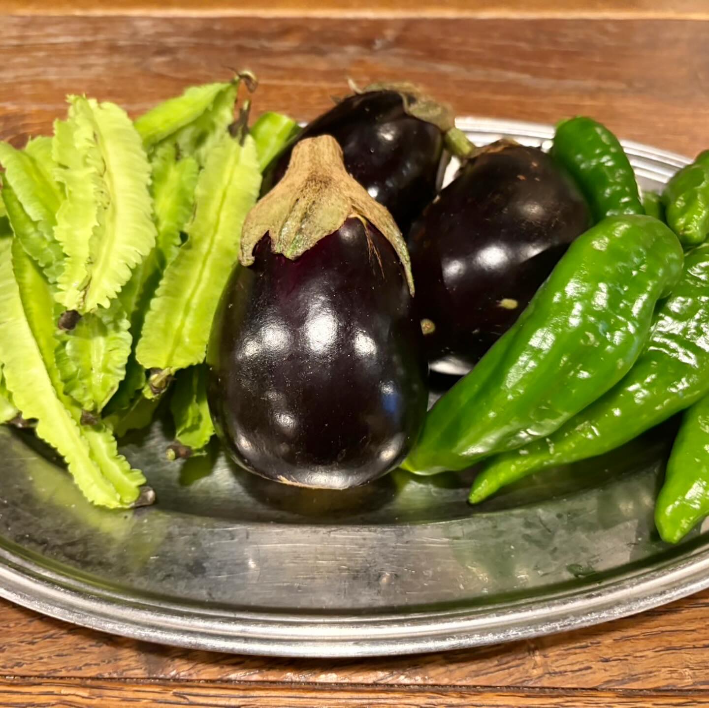 20241018-2 – SARUブログ