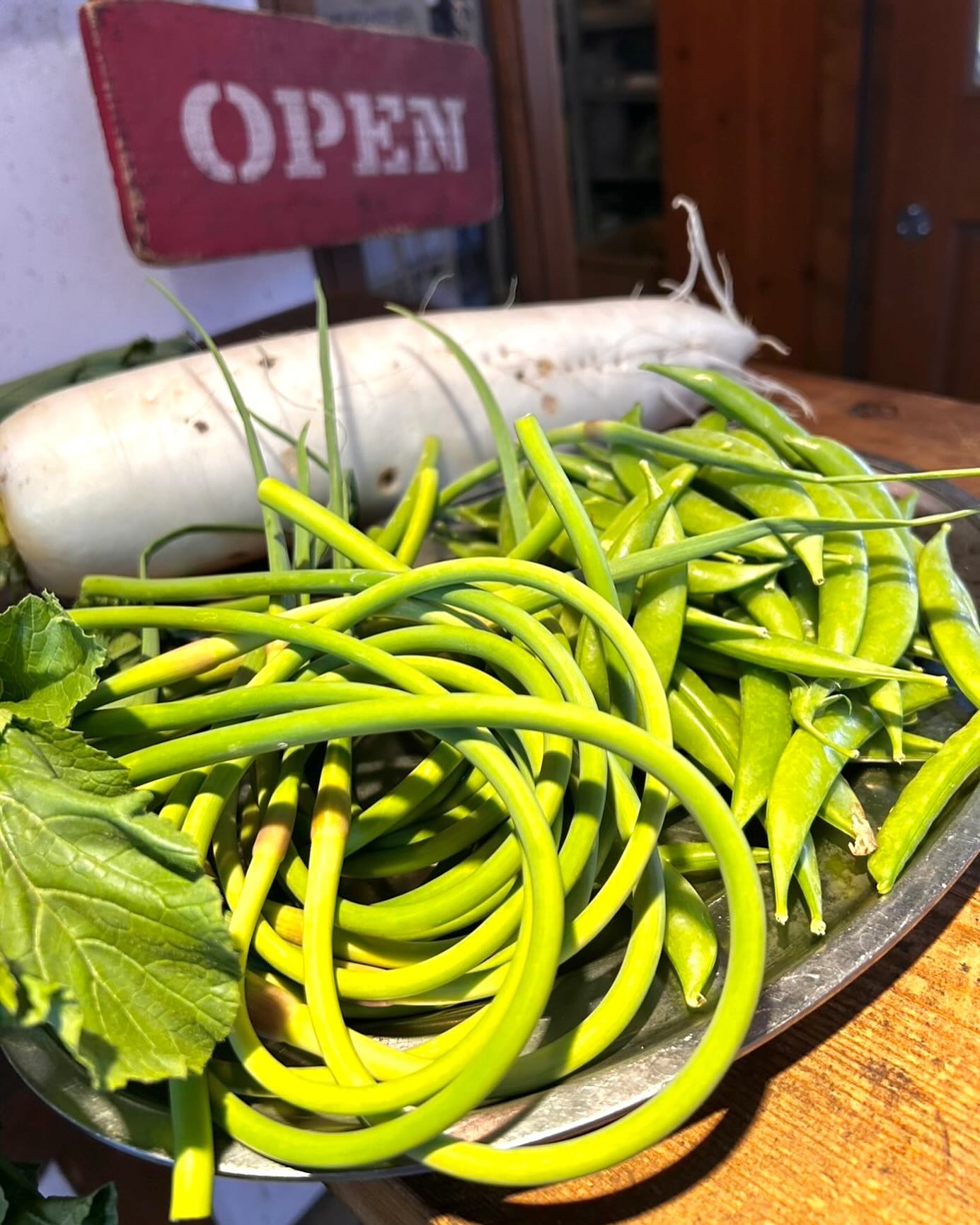 20250513-1 – SARUブログ